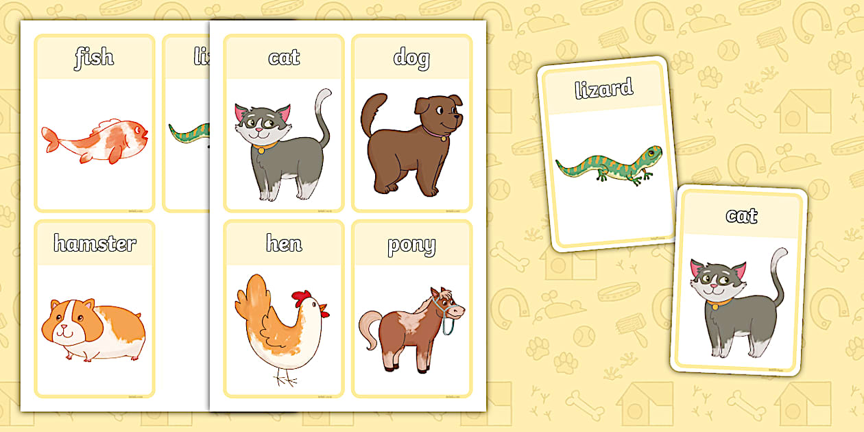 Pet Animals Flashcards (Teacher-Made) - Twinkl