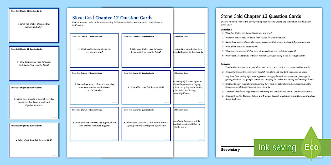 Chapter 12 Question Cards to Support Teaching on 'Stone Cold' by Robert