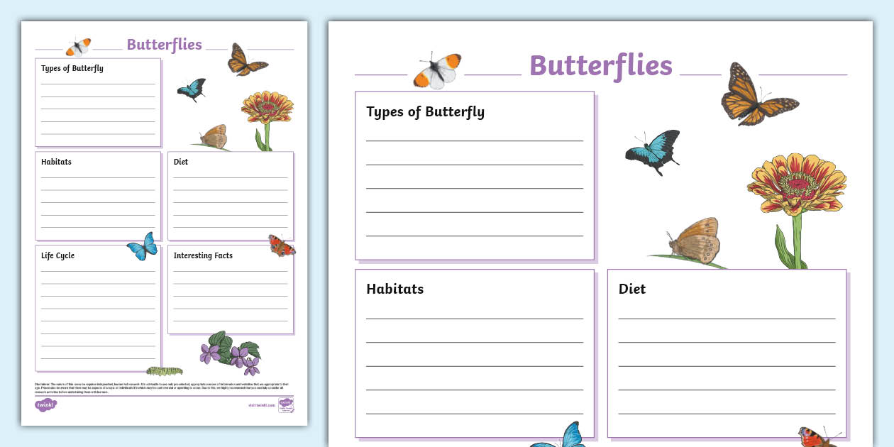 Butterflies Fact File Template, Butterfly Life Cycle