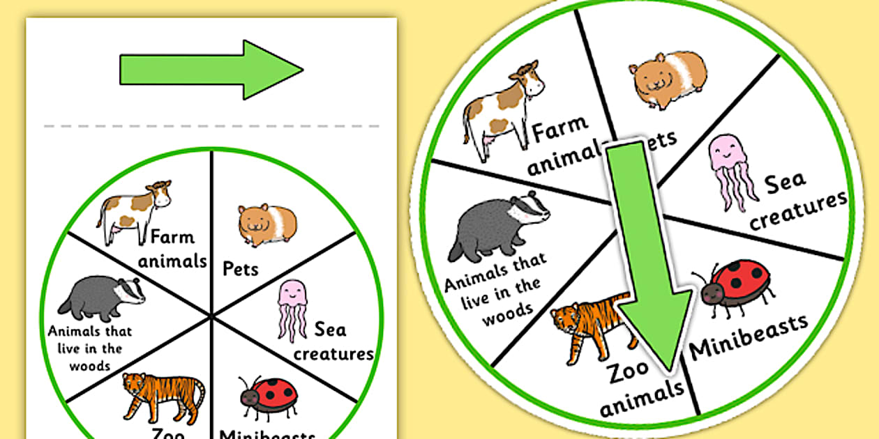 Animal Spinner | Classroom Games (teacher made) - Twinkl