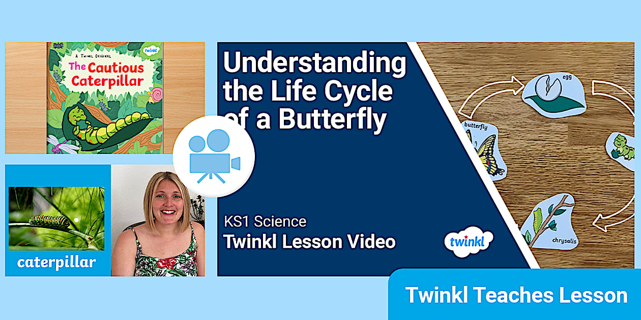 KS1 (Ages 5-7) Science: Life Cycle of a Butterfly Video Lesson