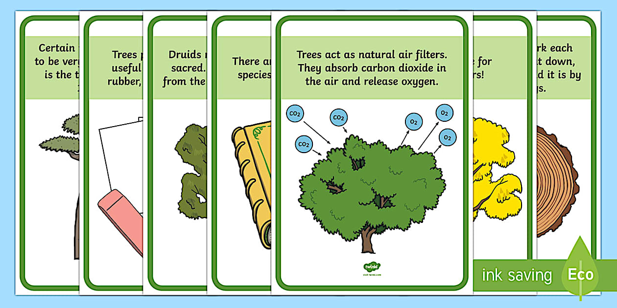 Tree Facts Display Posters - ROI- National Tree Week 5th