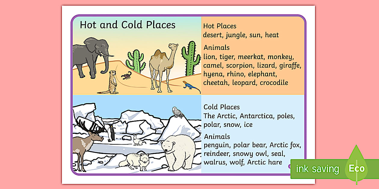 Cursive Hot and Cold Places and Animals Word Mat - Twinkl