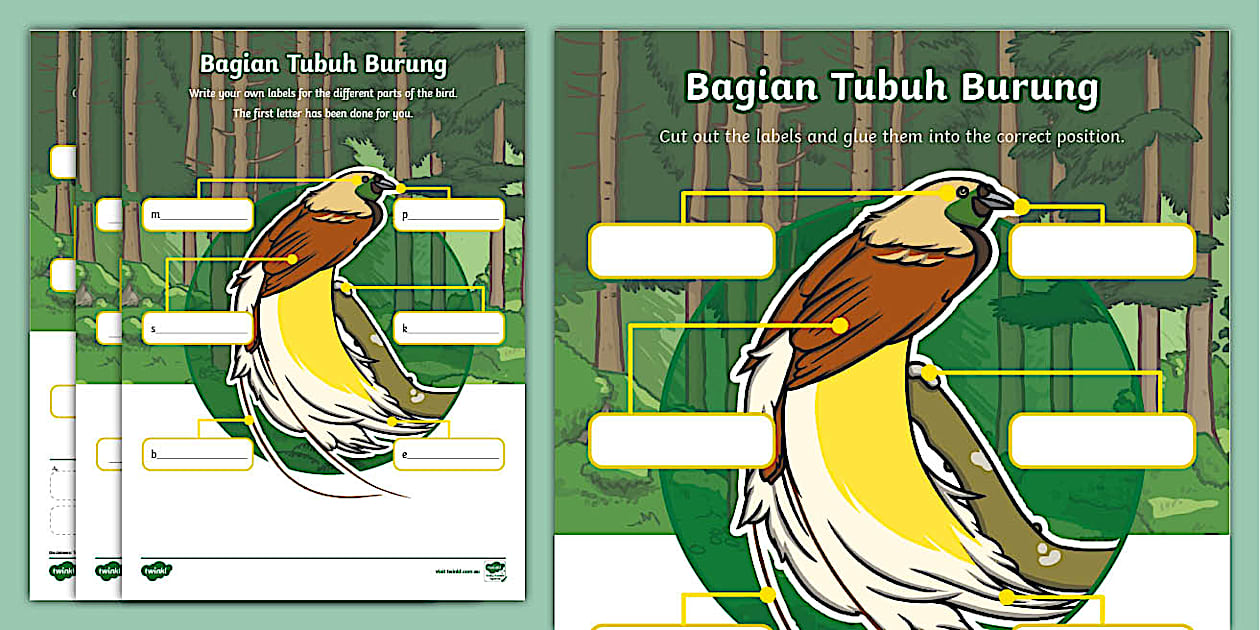 Parts of a Bird Labelling Activity - Indonesian - Twinkl