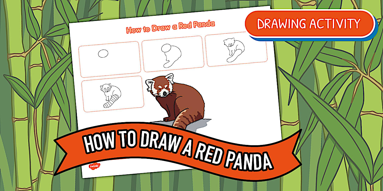 How to Draw a Red Panda Guide | Twinkl Canada