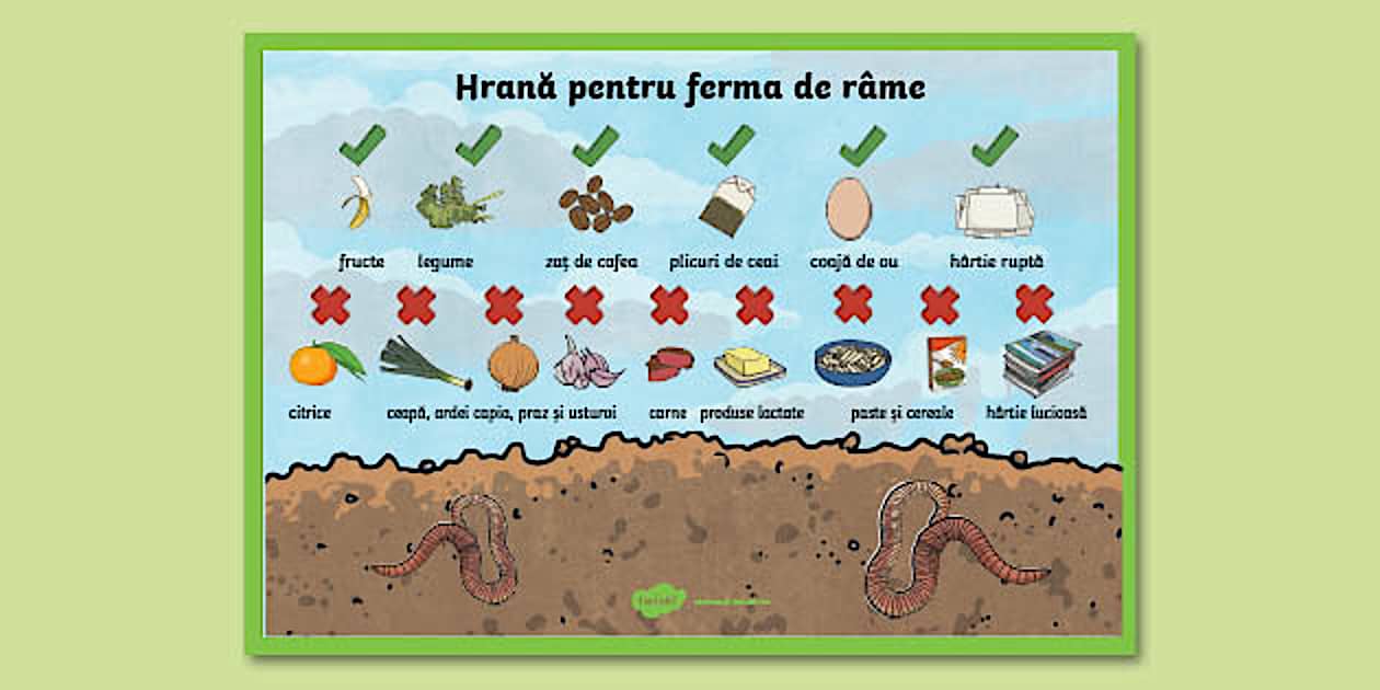 Hrană pentru ferma de râme – Planșă (teacher made)