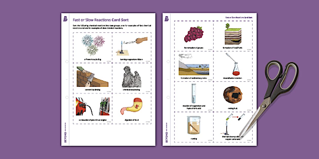 Fast or Slow Reactions Card Sort | KS3 Chemistry | Beyond