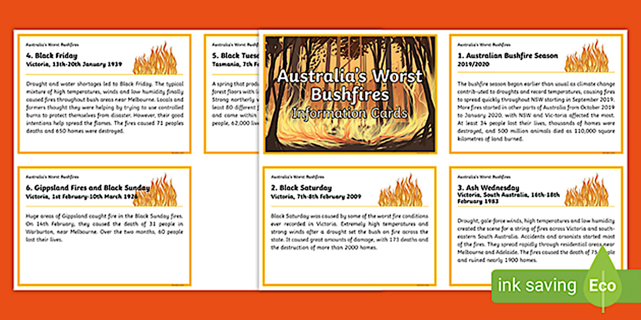 Australia’s Worst Bushfires Information Cards - Twinkl