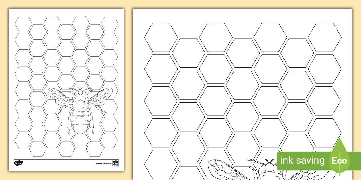Bienenwabe malen - Ausmalbild (teacher made) - Twinkl