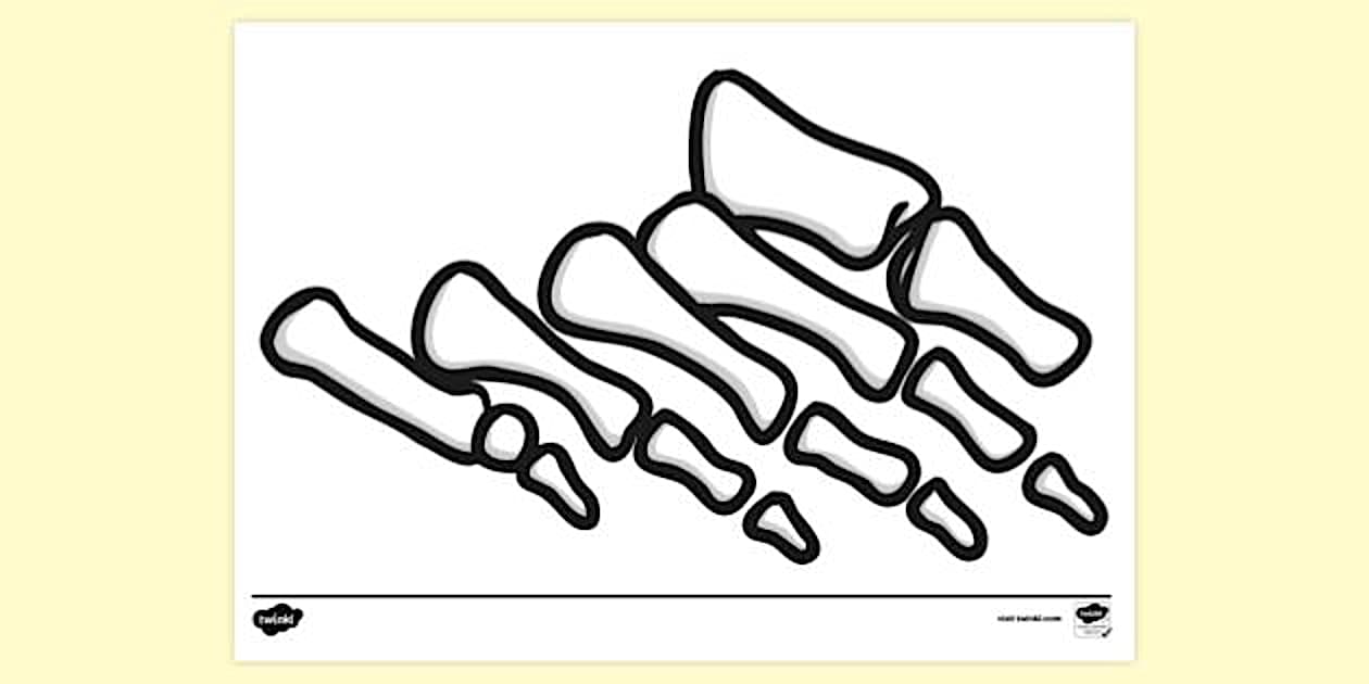 Toe Bones Colouring | Colouring Sheets - Twinkl