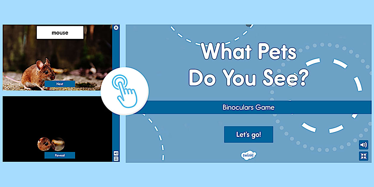 What Pets Do You See? Interactive Binoculars Game - Twinkl