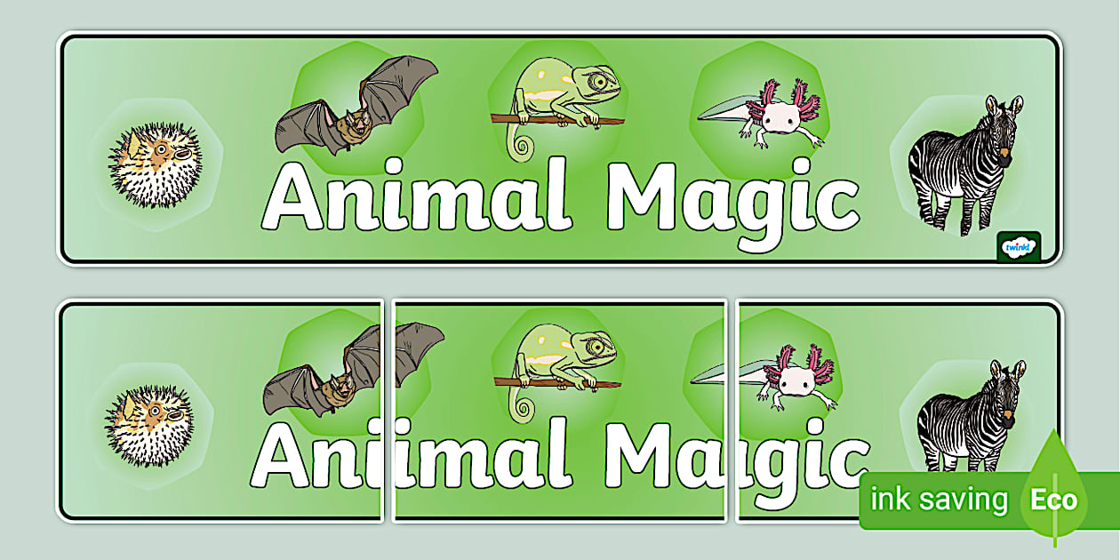 Animal Magic Display Banner,animal magic,animal,Amazing Animals Display ...