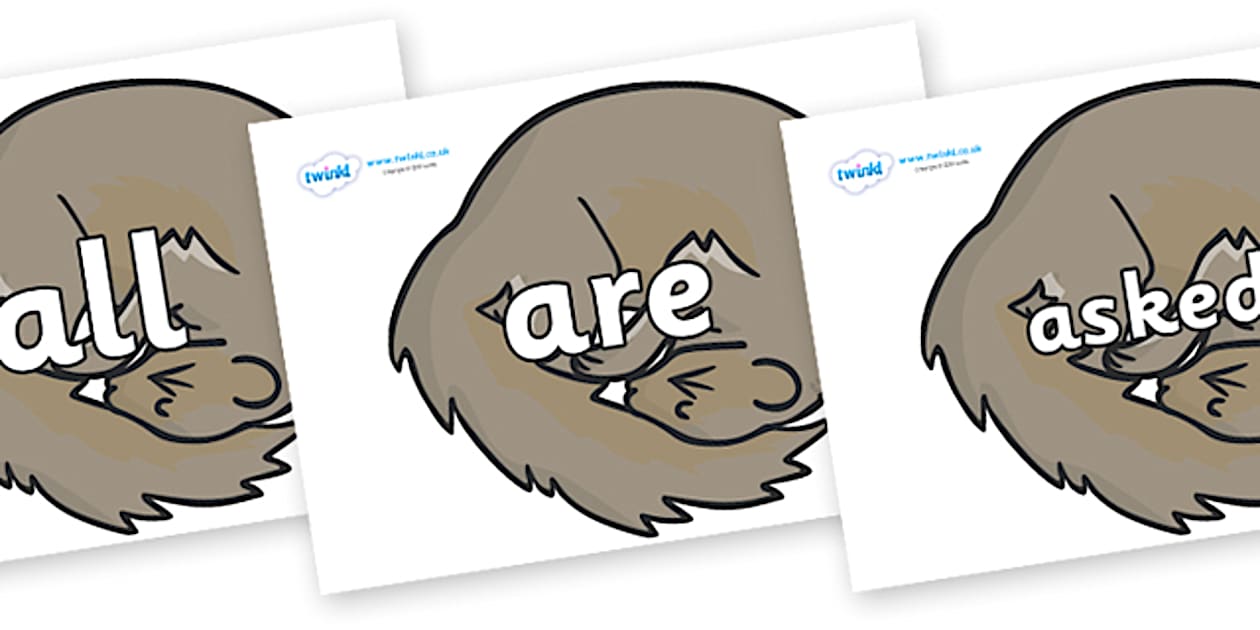 Tricky Words on Grey Squirrels (teacher made) - Twinkl