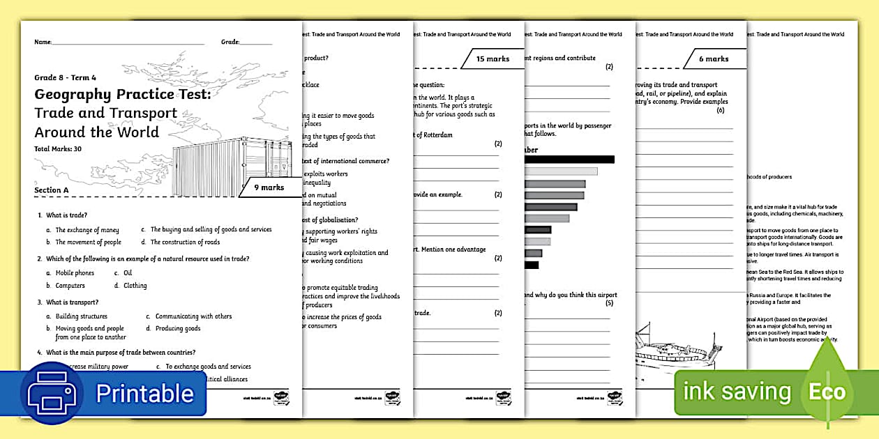 Grade 8 Geography Practice Test Term 4 - Trade and Transport