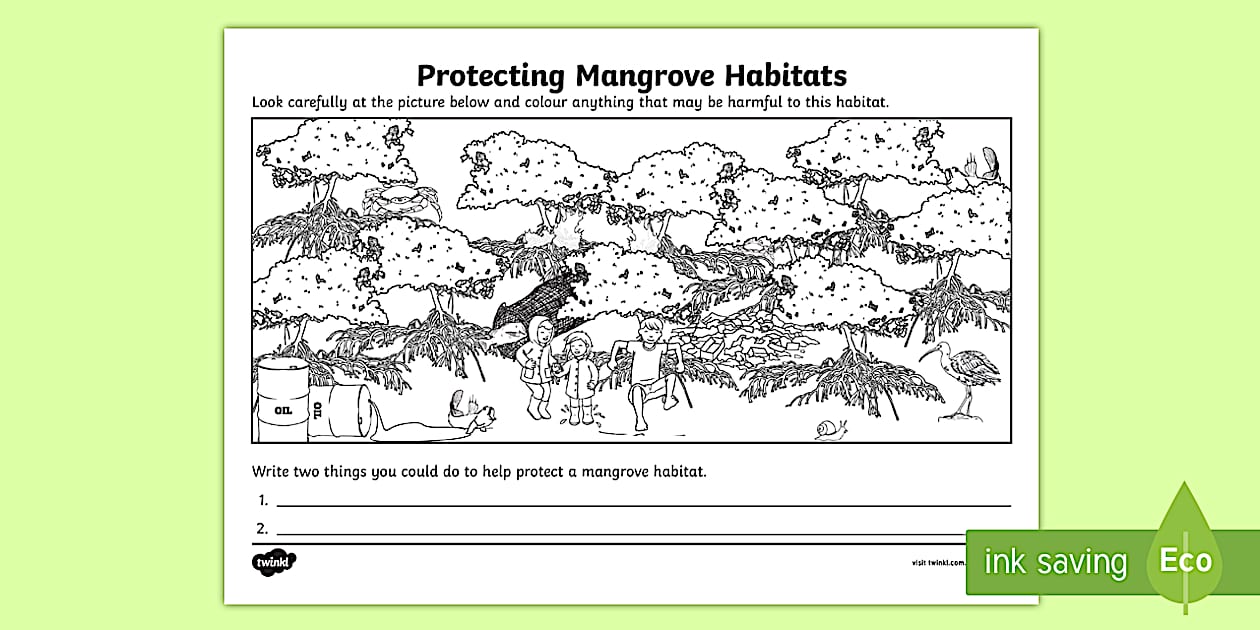 TAS Protecting Mangrove Habitats Worksheet (teacher made)