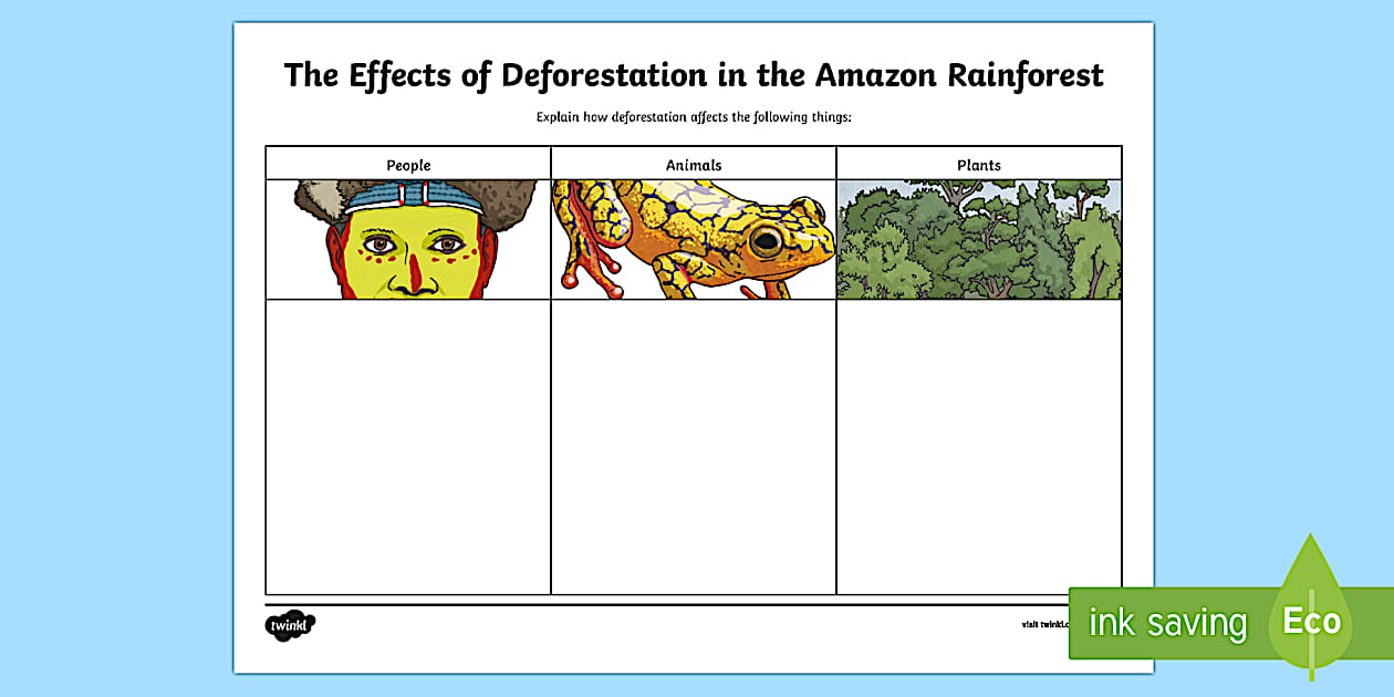 Editable The Effects of Deforestation in The Amazon Rainforest Writing