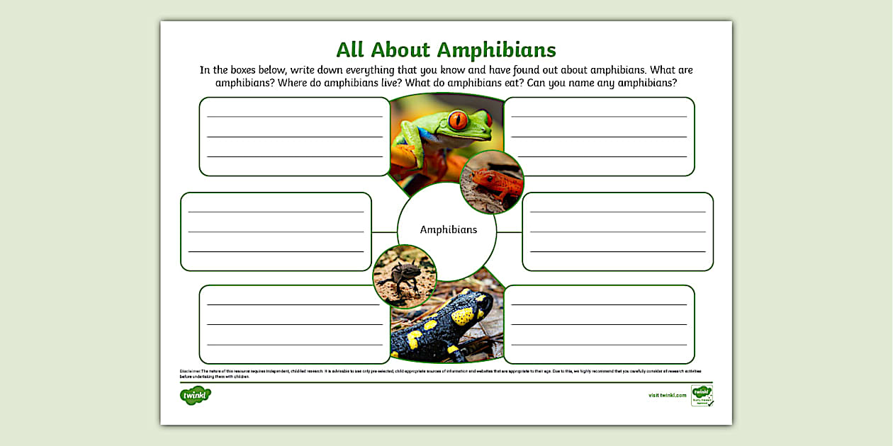 All About Amphibians Mind Map