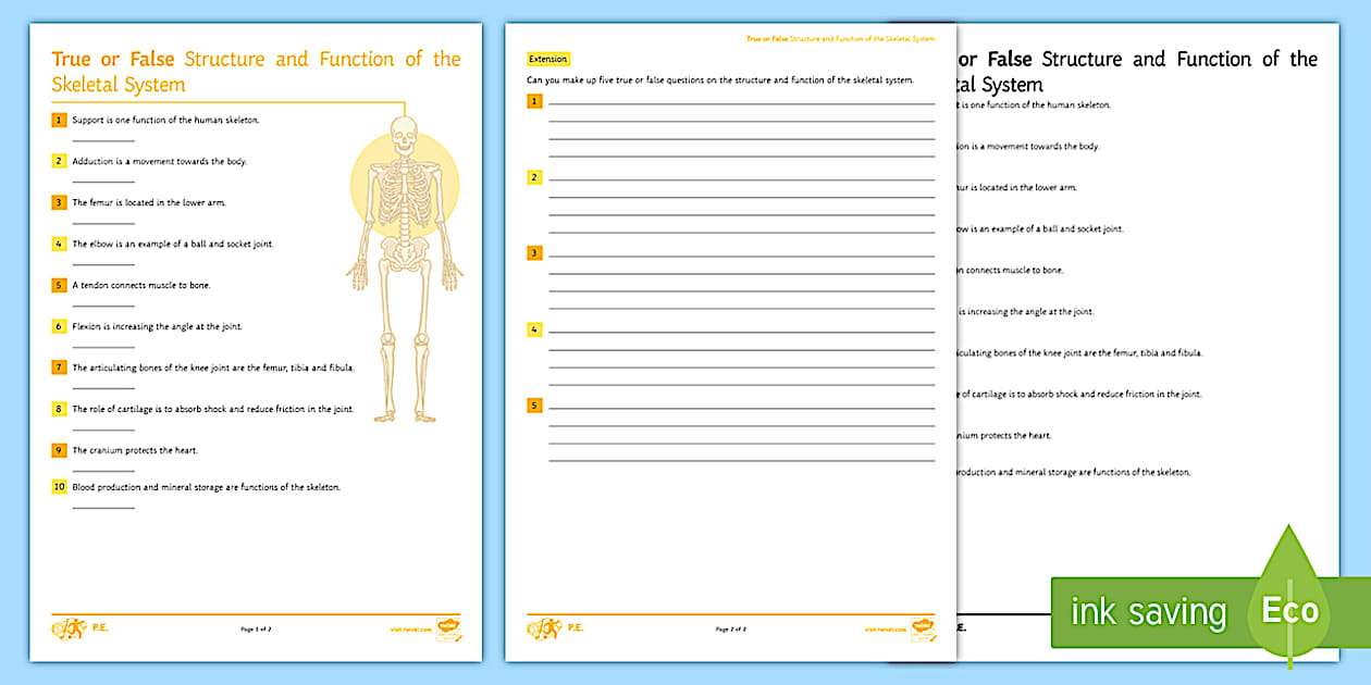 GCSE PE: Skeletal System True or False Worksheet - Twinkl