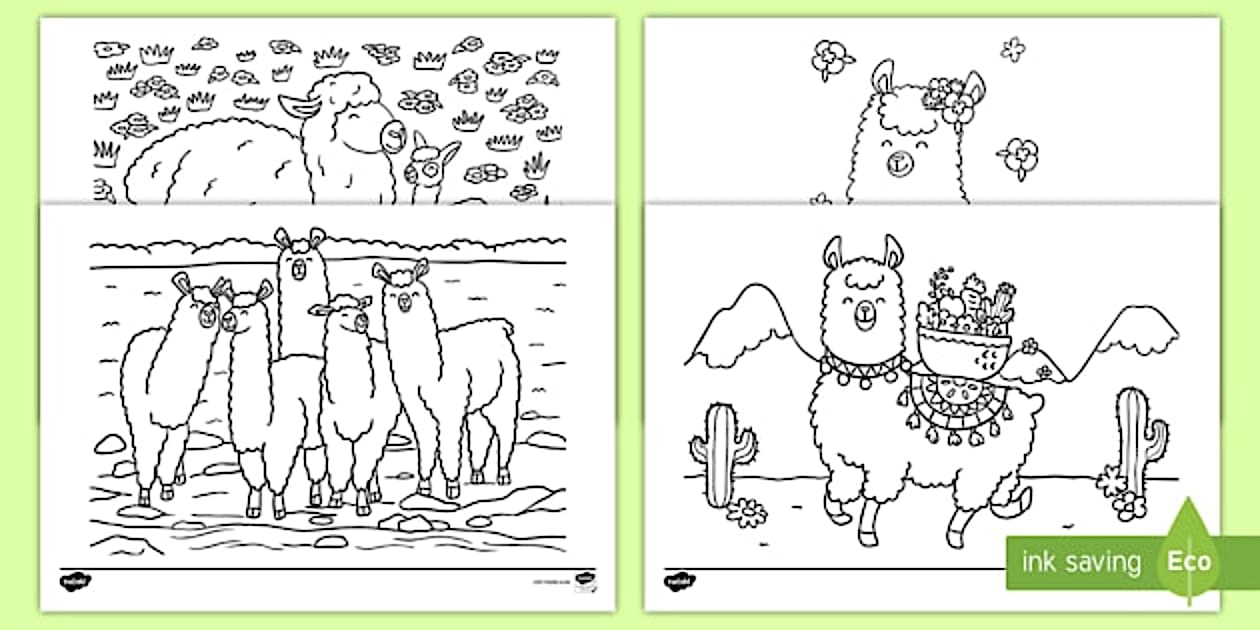 Hojas de colorear: Llamas y alpacas (teacher made) - Twinkl