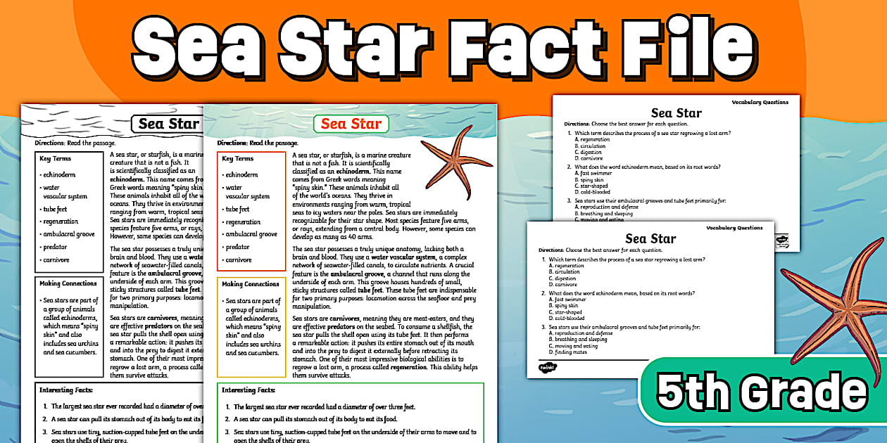 Fifth Grade Sea Star Fact File and Vocabulary Questions