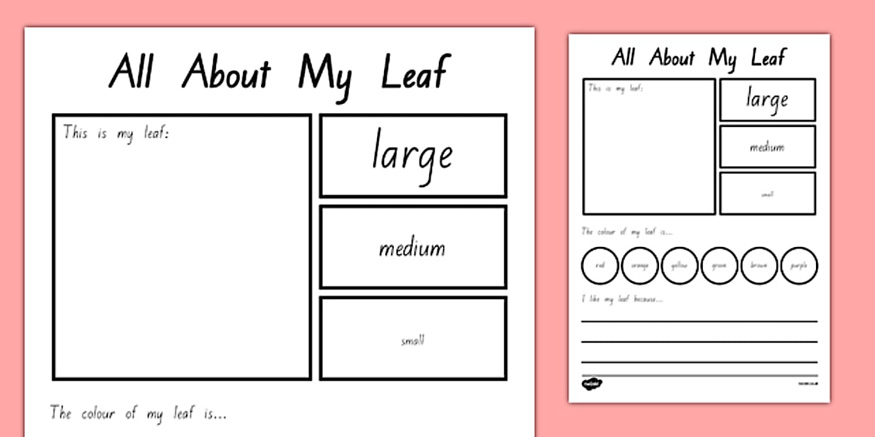 All About My Leaf Worksheet / Worksheet (teacher made)