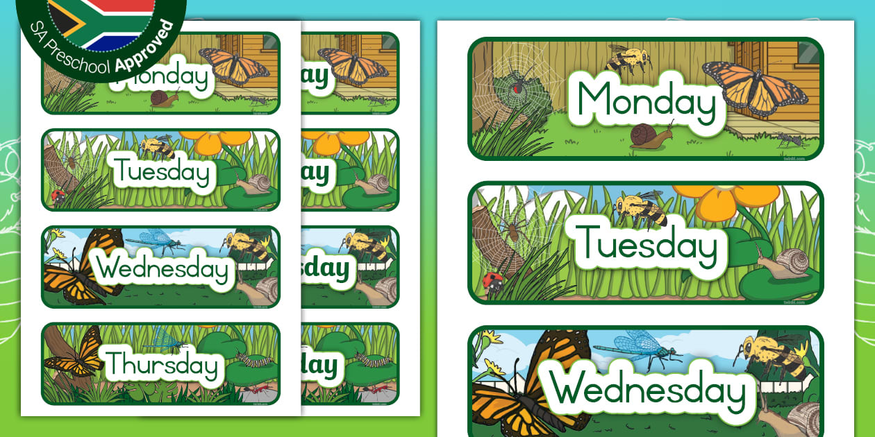 Insect-Themed Days of the Week Cards (teacher made) - Twinkl
