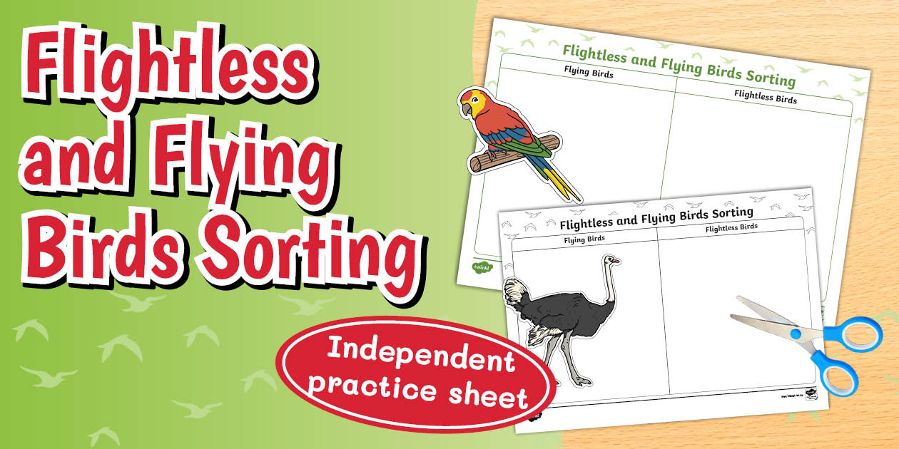 Foundation Phase Life Skills - Flightless and Flying Birds - Sorting ...