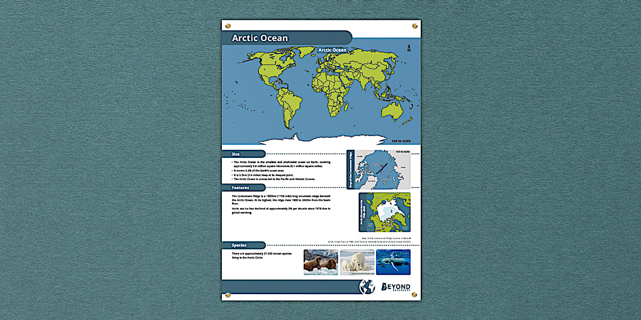 Marine Biomes: Arctic Ocean Information Display Poster