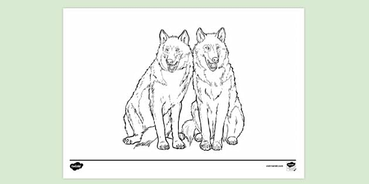 Wolves Colouring Sheet | Colouring Sheets - Twinkl