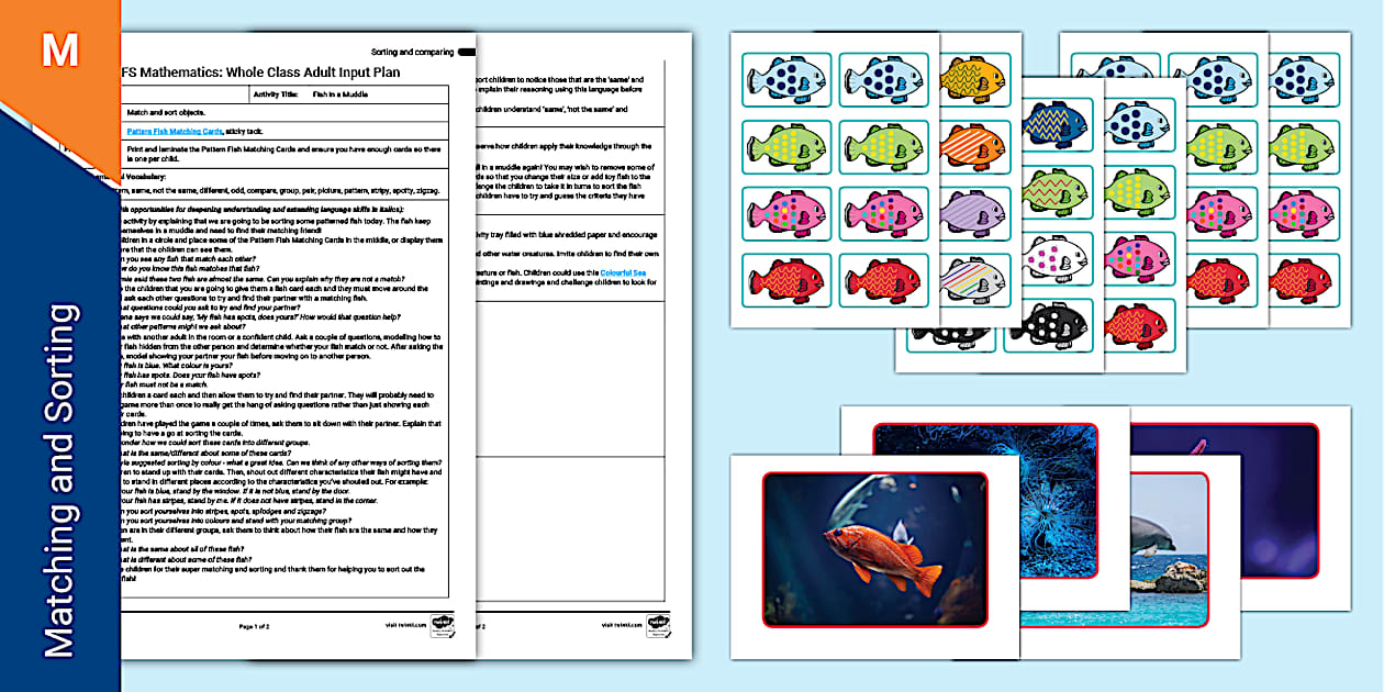 EYFS Maths: Fish in a Muddle Plan and Resource Pack | Twinkl
