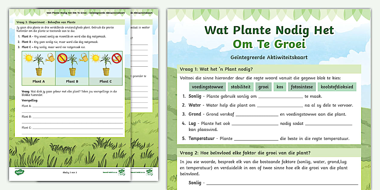 Wat Plante Nodig het om te Groei Gedifferensieerde Werkkaart