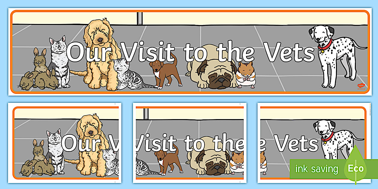 Our Visit to The Vets Display Banner (teacher made) - Twinkl