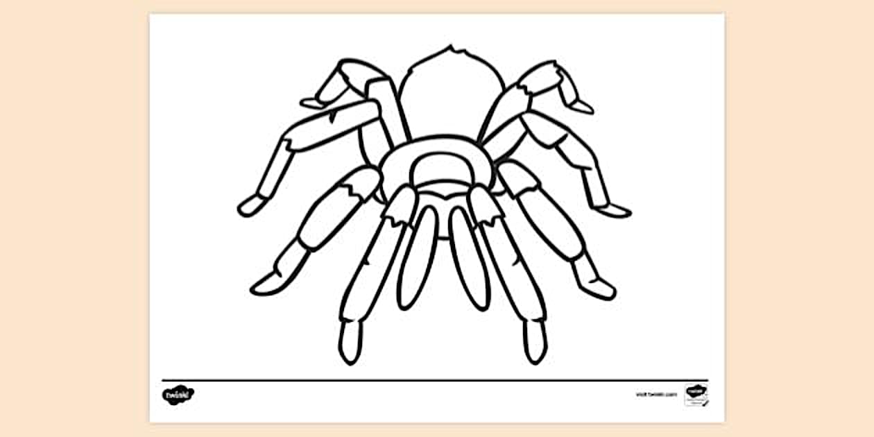 Halloween Spider Colouring Page | Colouring Sheets - Twinkl