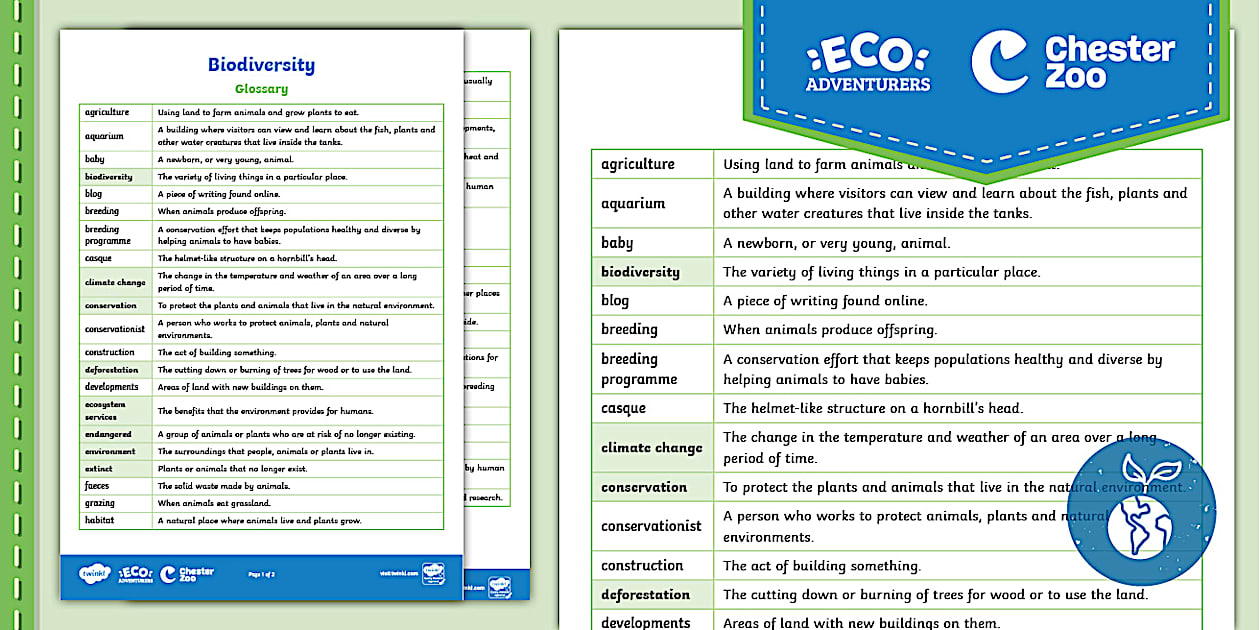 Year 4 Biodiversity: Key Vocabulary Glossary