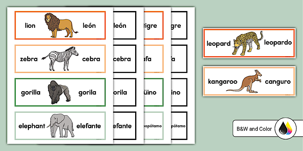 Cognados de animales en inglés y español | Twinkl USA