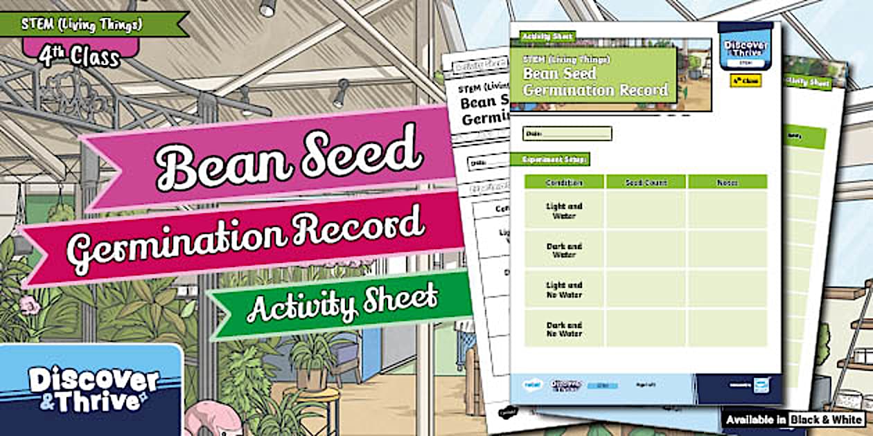 STEM (Living Things) Plant Seed Germination Record (4th Class)