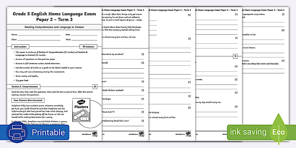 Grade 5 English HL Exam Paper 2 Term 3 (teacher made)