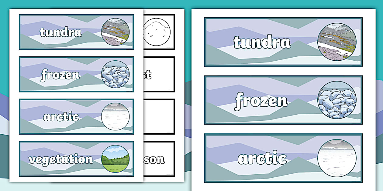 Tundra Biome Word Cards (teacher made) - Twinkl
