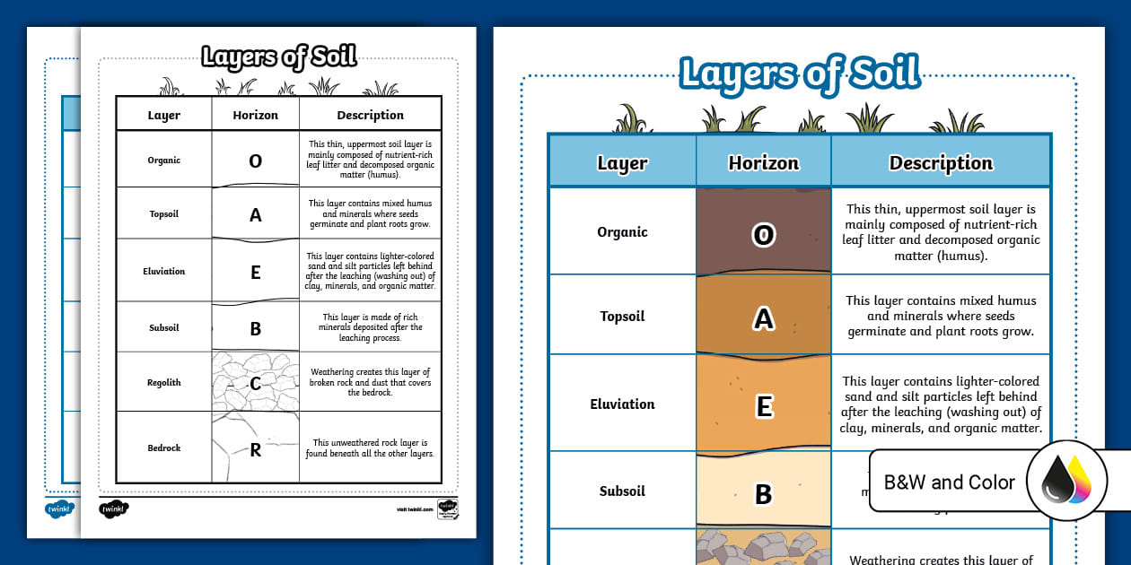 Layers of Soil Chart for 6th-8th Grade (teacher made)