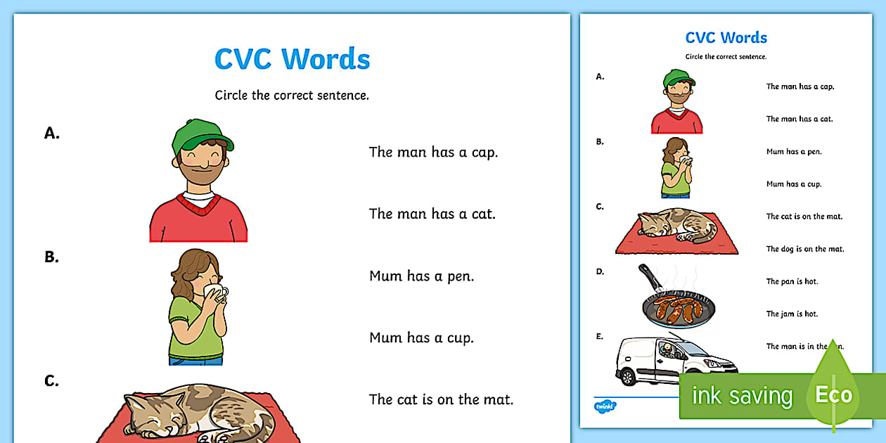 CVC words & sentences worksheets | Printable | Twinkl