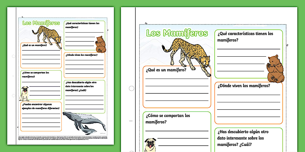 Ficha de Investigación: Los Mamíferos