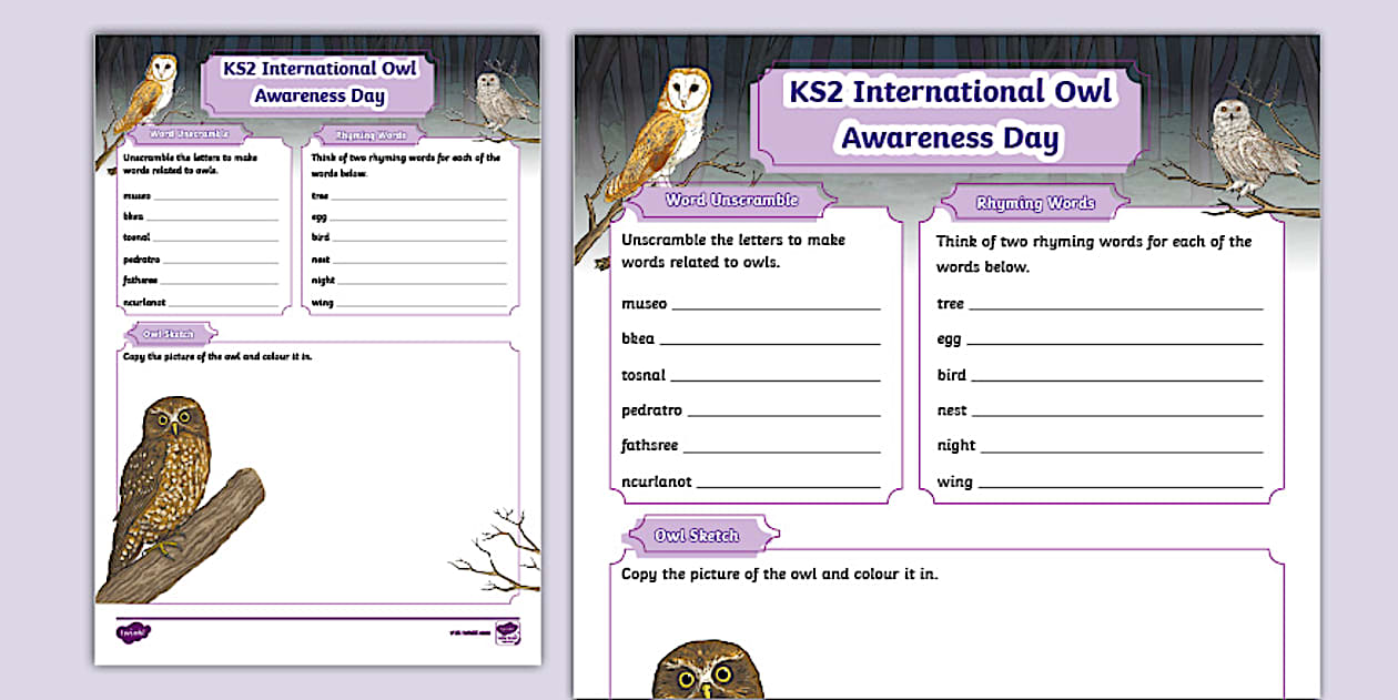 KS2 International Owl Awareness Day Boredom Buster - Twinkl