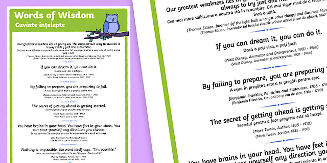 Words of Wisdom Display Poster Romanian Translation - Twinkl