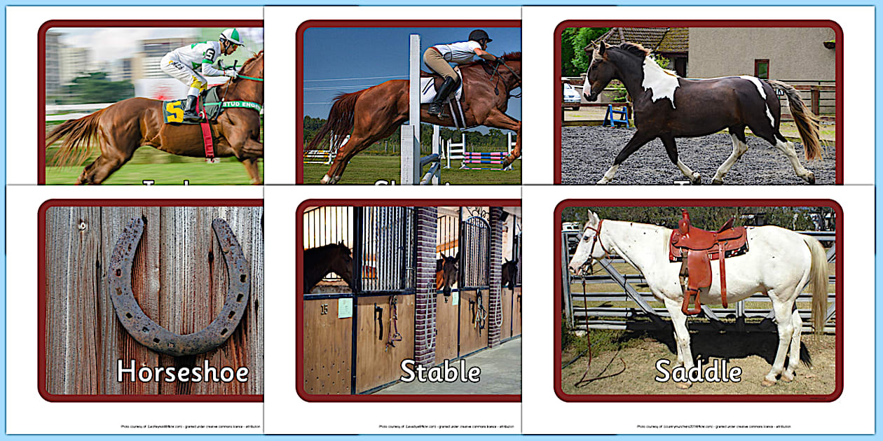 Horses and Ponies Display Photos (teacher made) - Twinkl