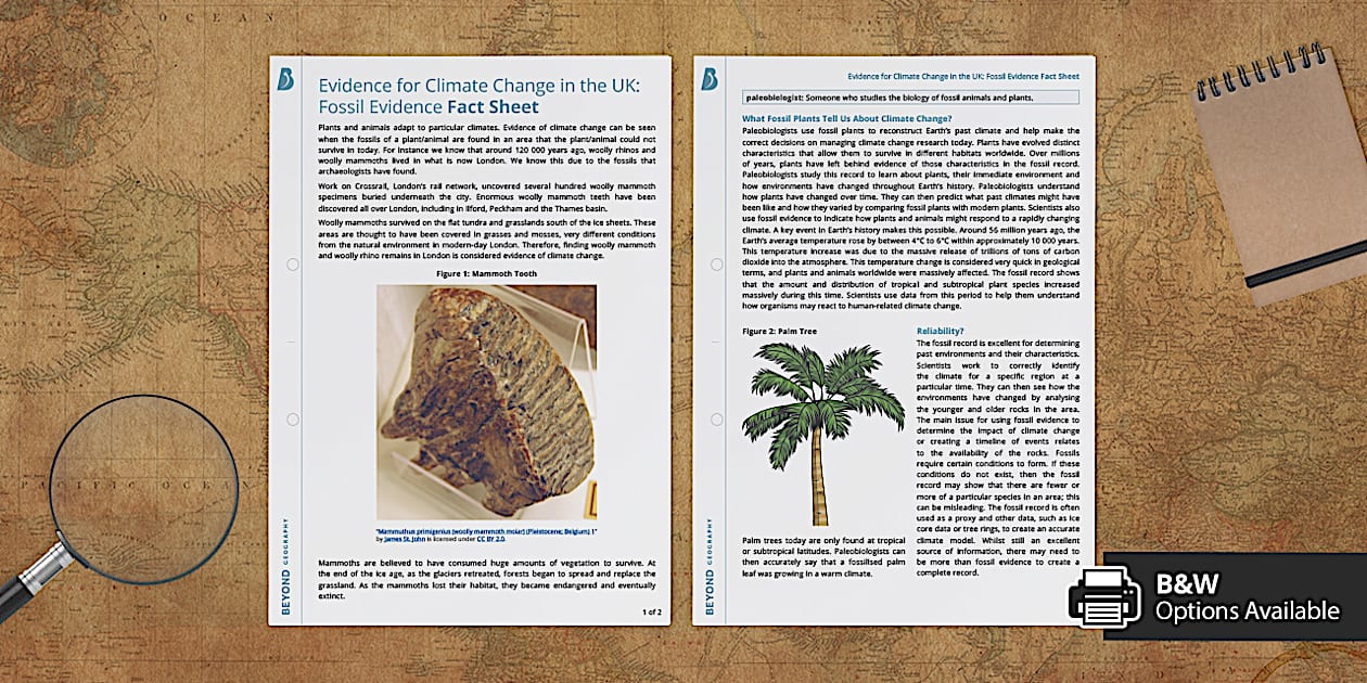 GCSE Evidence for Climate Change in the UK Fossil Evidence: Fact Sheet