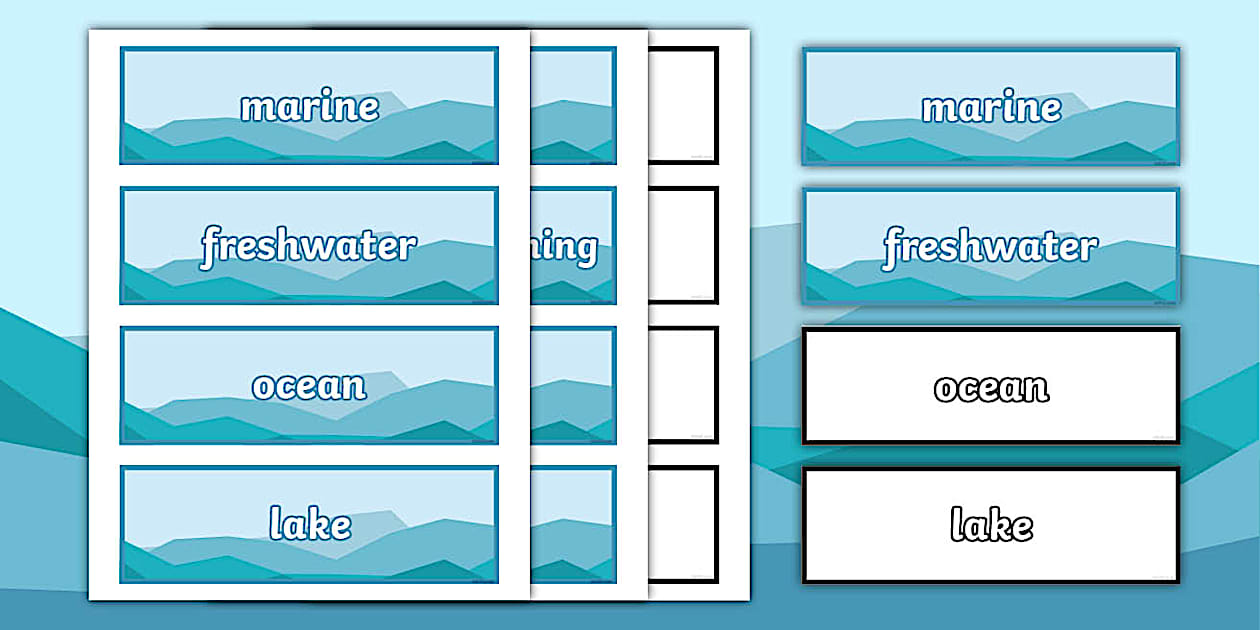 Aquatic Biome Word Cards (teacher made) - Twinkl