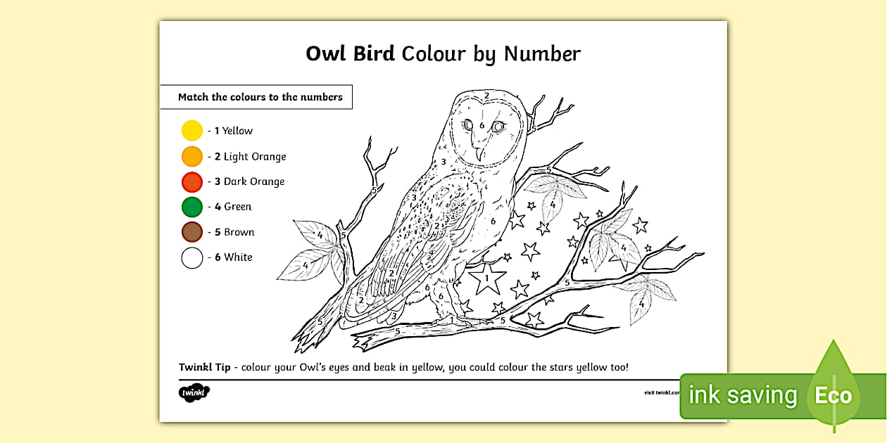 Owl Bird Colour By Number (teacher made) - Twinkl