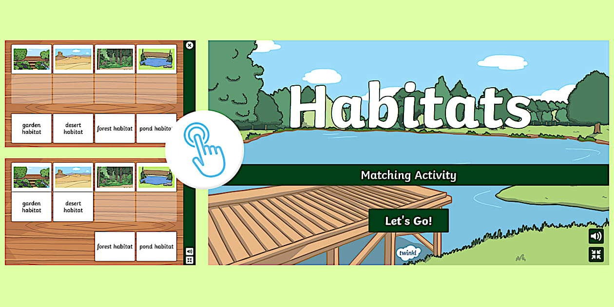 Interactive Habitats Matching Activity | Twinkl Go! - Twinkl