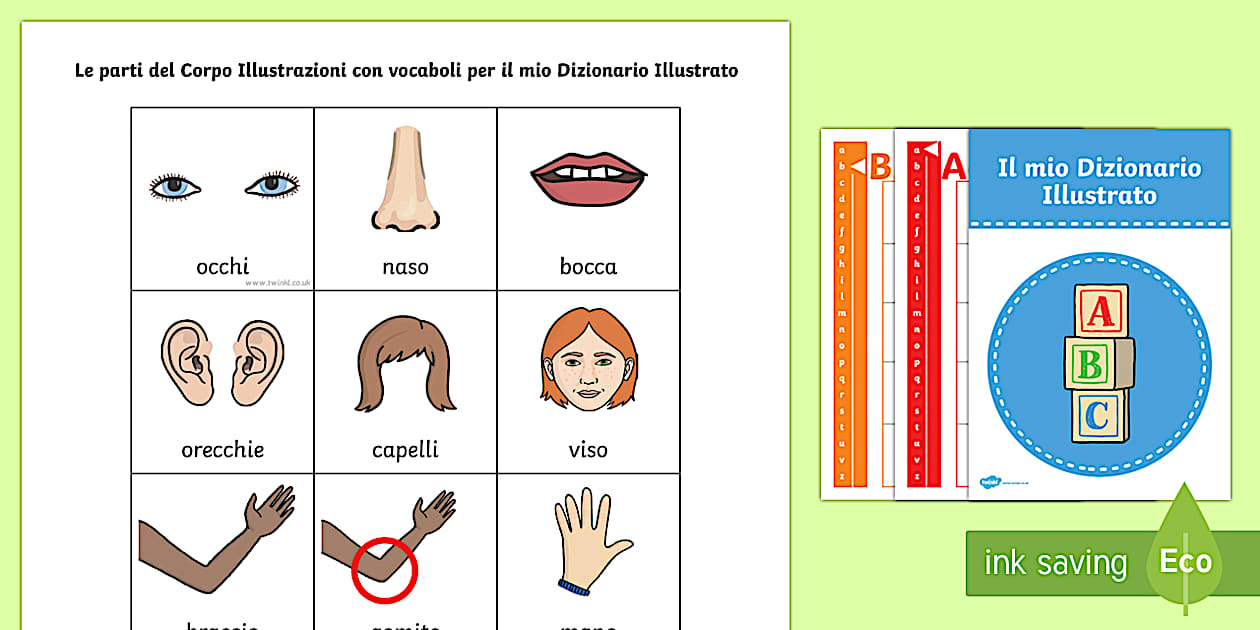 Parti del Corpo e Illustrazioni Vocabolario Illustrato