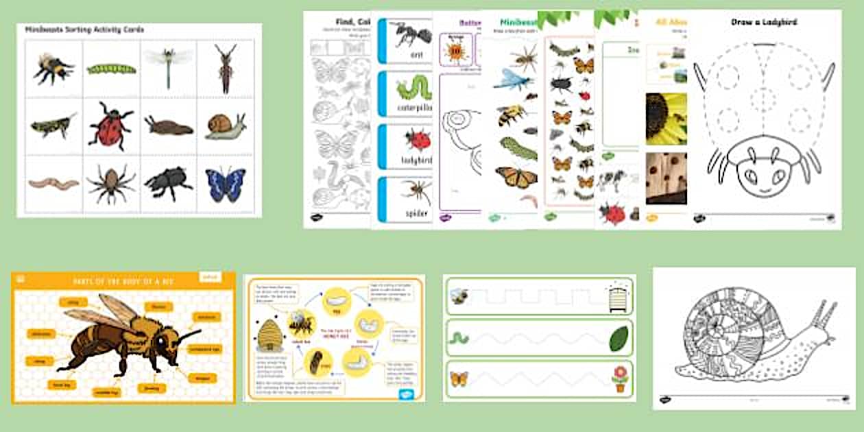 FREE! - Insects Special Resource Pack for The Unit Study Method